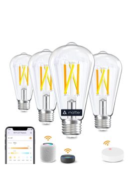 OREiN Matter ST58 Vintage Smart Edison Light Bulbs with Smart Button